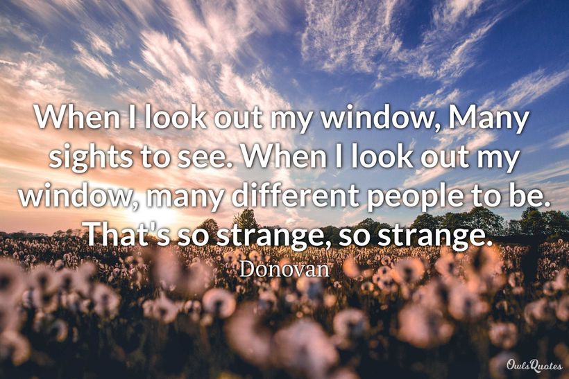 25 Inspirational Window Quotes