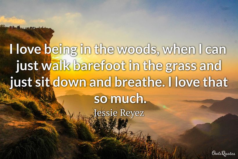 25 Interesting Grass Quotes