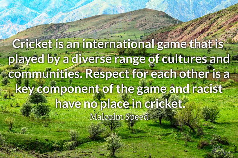 20 Inspirational Cricket Quotes