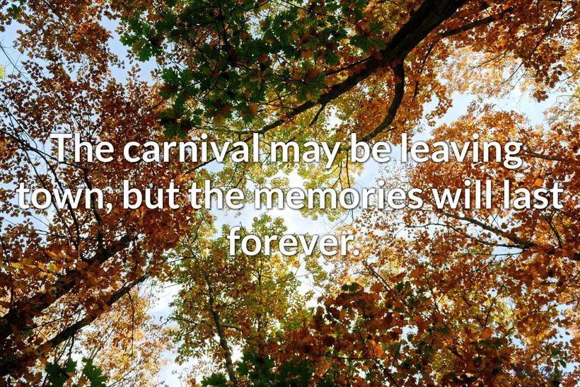 30 Quotes and Sayings About Carnivals