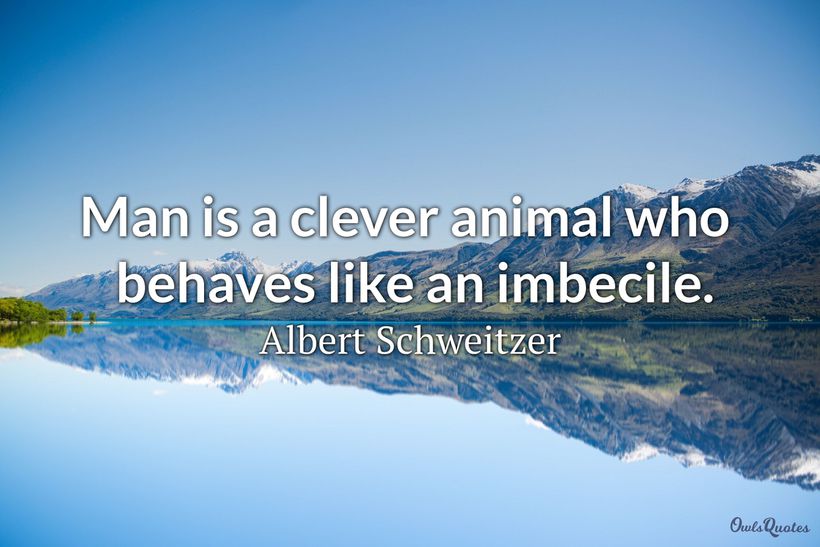 30 Meaningful Quotes About Cleverness