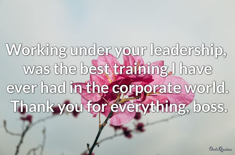 30 Thanks Quotes for Boss