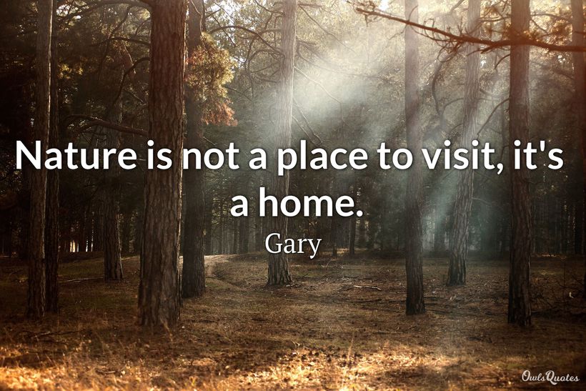 25 Beautiful Scenery Quotes