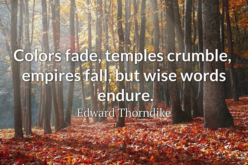 30 Quotes About the Importance of Temples