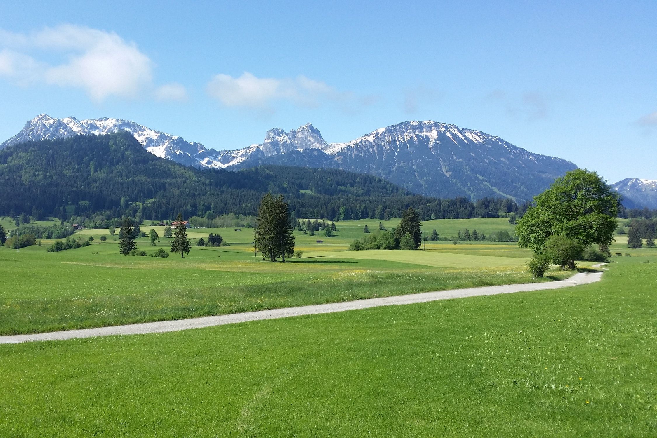 30 Motivational Quotes and Sayings About Rocks