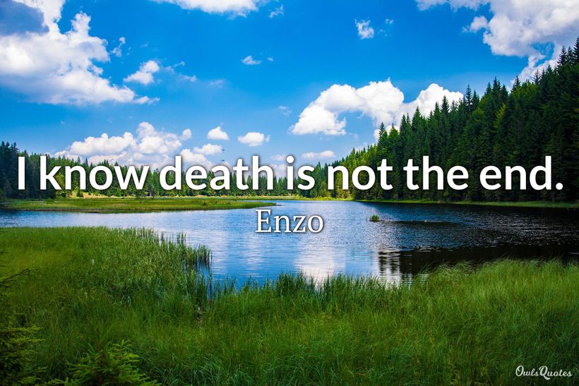 29 Iconic the Art of Racing in the Rain Quotes