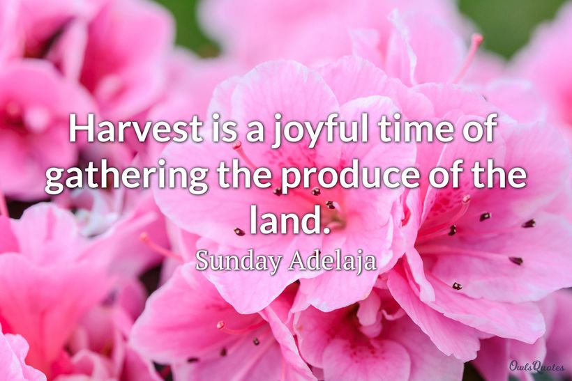 Top 30 Gathering Quotes