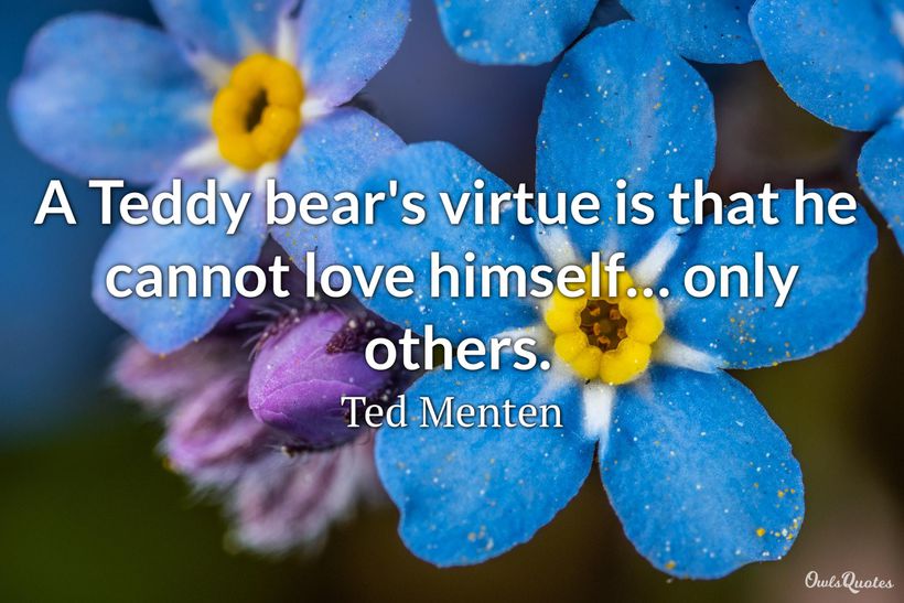 30 Teddy Bear Quotes