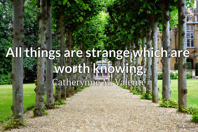30 Strange Quotes And Sayings 30-strange-quotes-and-sayings