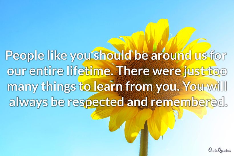 Top 30 Remembrance Messages For Death Anniversary top-30-remembrance-messages-for-death-anniversary