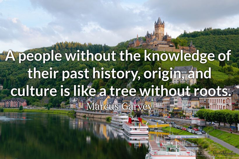 30 Quotes About Roots to Never Forget Your Base