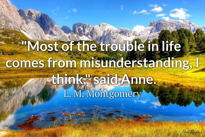 30 quotes on misunderstanding