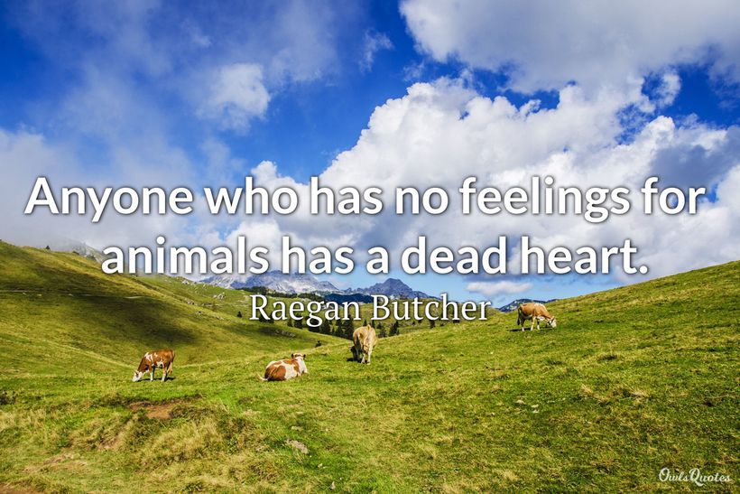 18 Animal Love Quotes