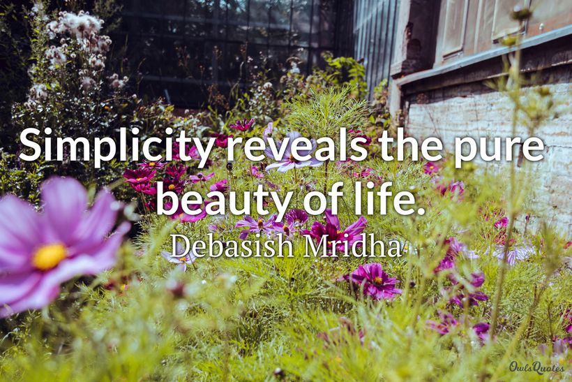 30 Simple Life Quotes