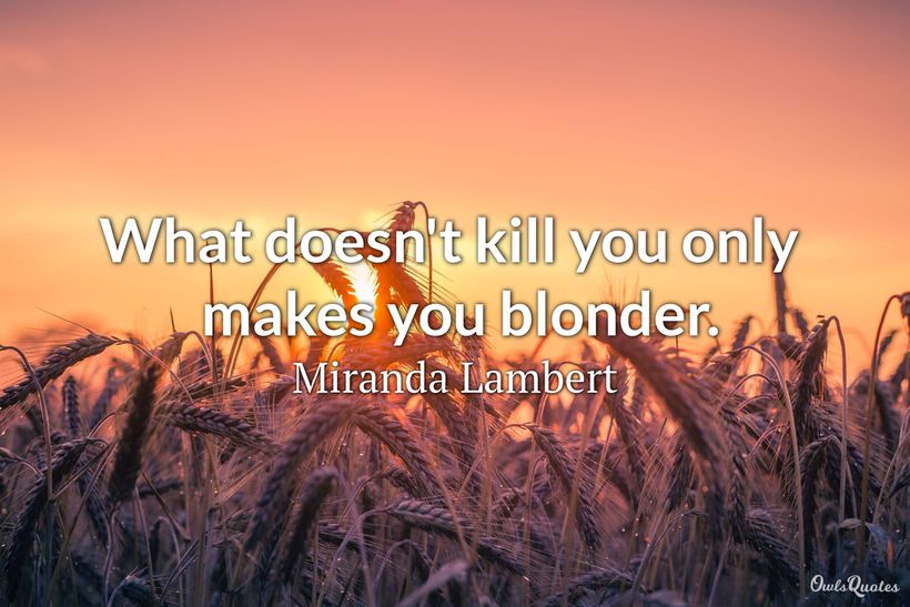 30 Blonde Quotes and Sayings
