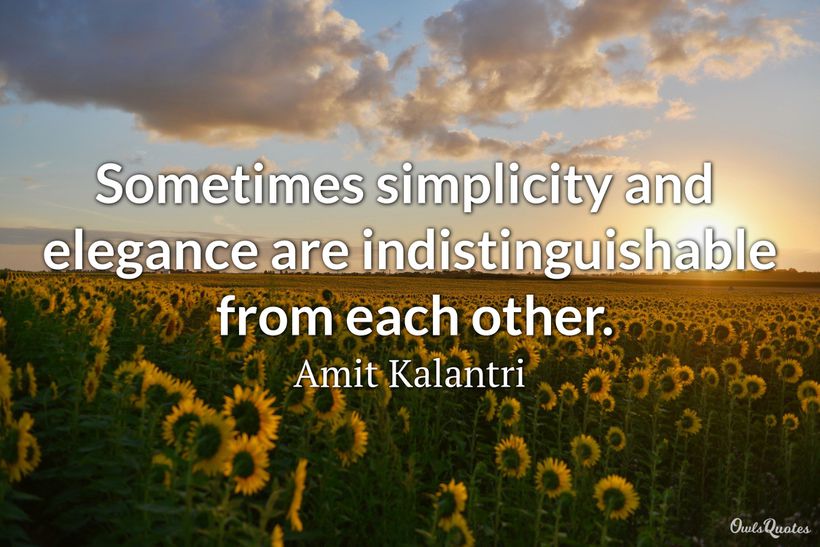 30 quotes about elegance